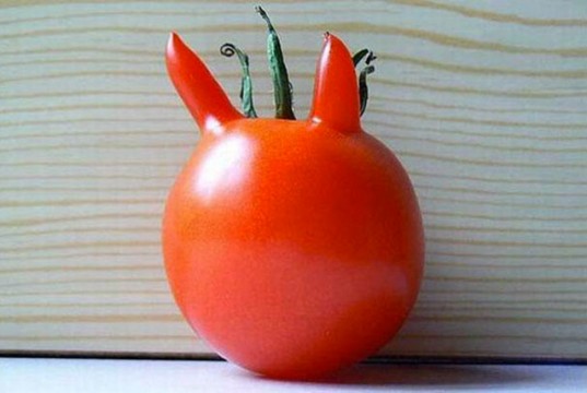 15 fruits et légumes "moches" se rebellent pour vous étonner
