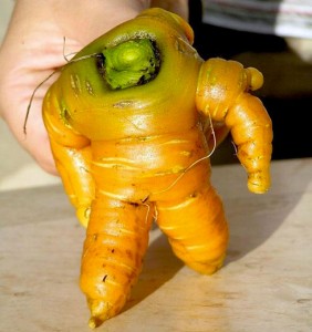 15 fruits et légumes "moches" se rebellent pour vous étonner